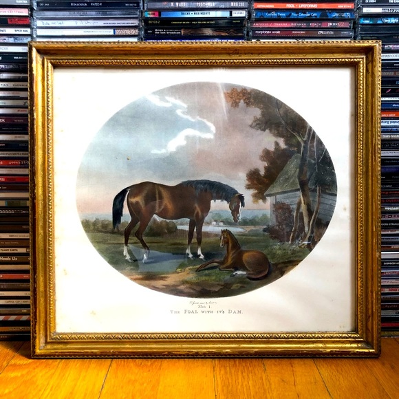 Thomas Gooch | Art | 942 Thomas Gooch Plate 1 The Foal With Its Dam ...